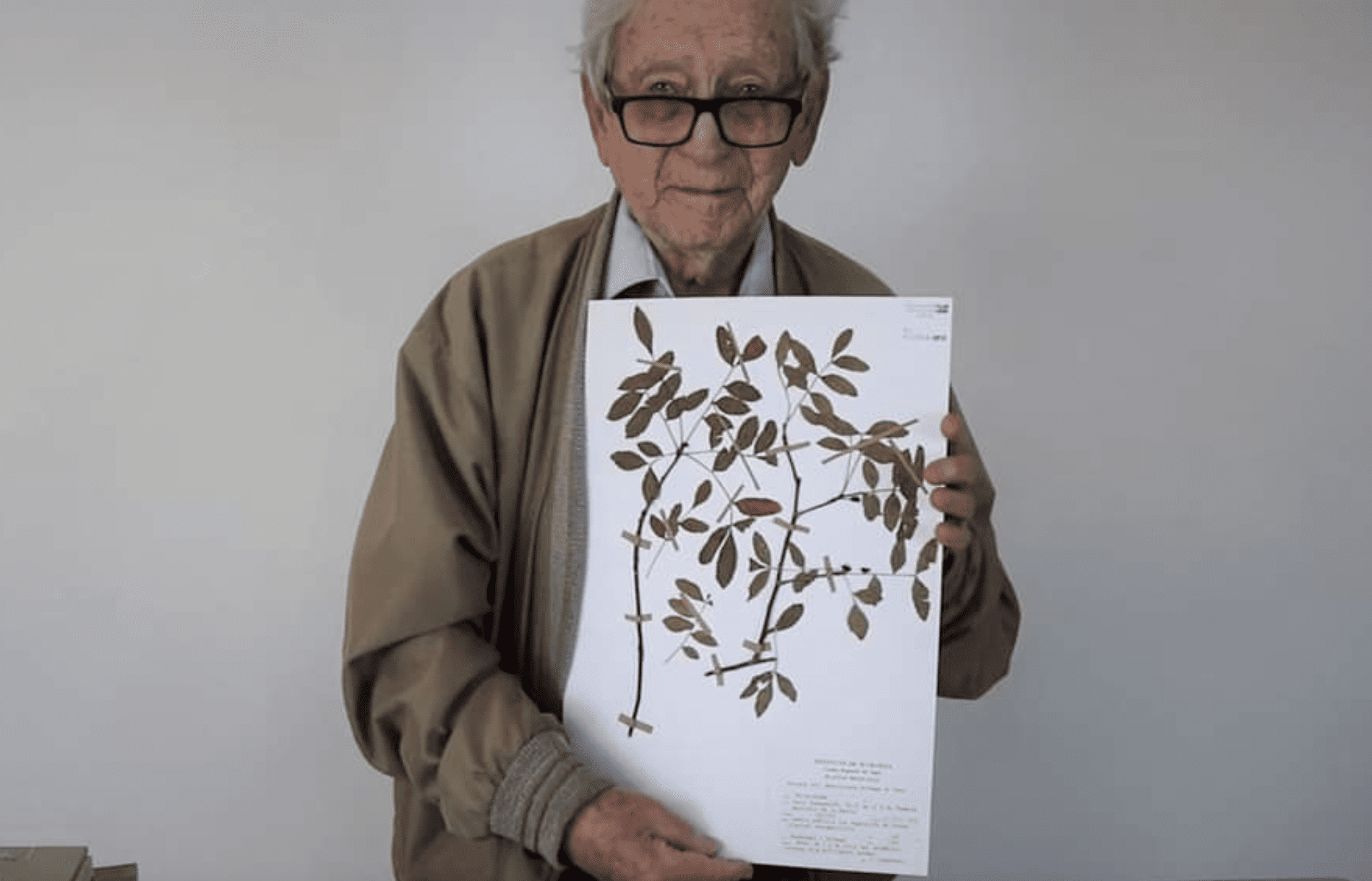 Fallece Jerzy Rzedowski Rotter, pilar de la botánica en México • Once ...