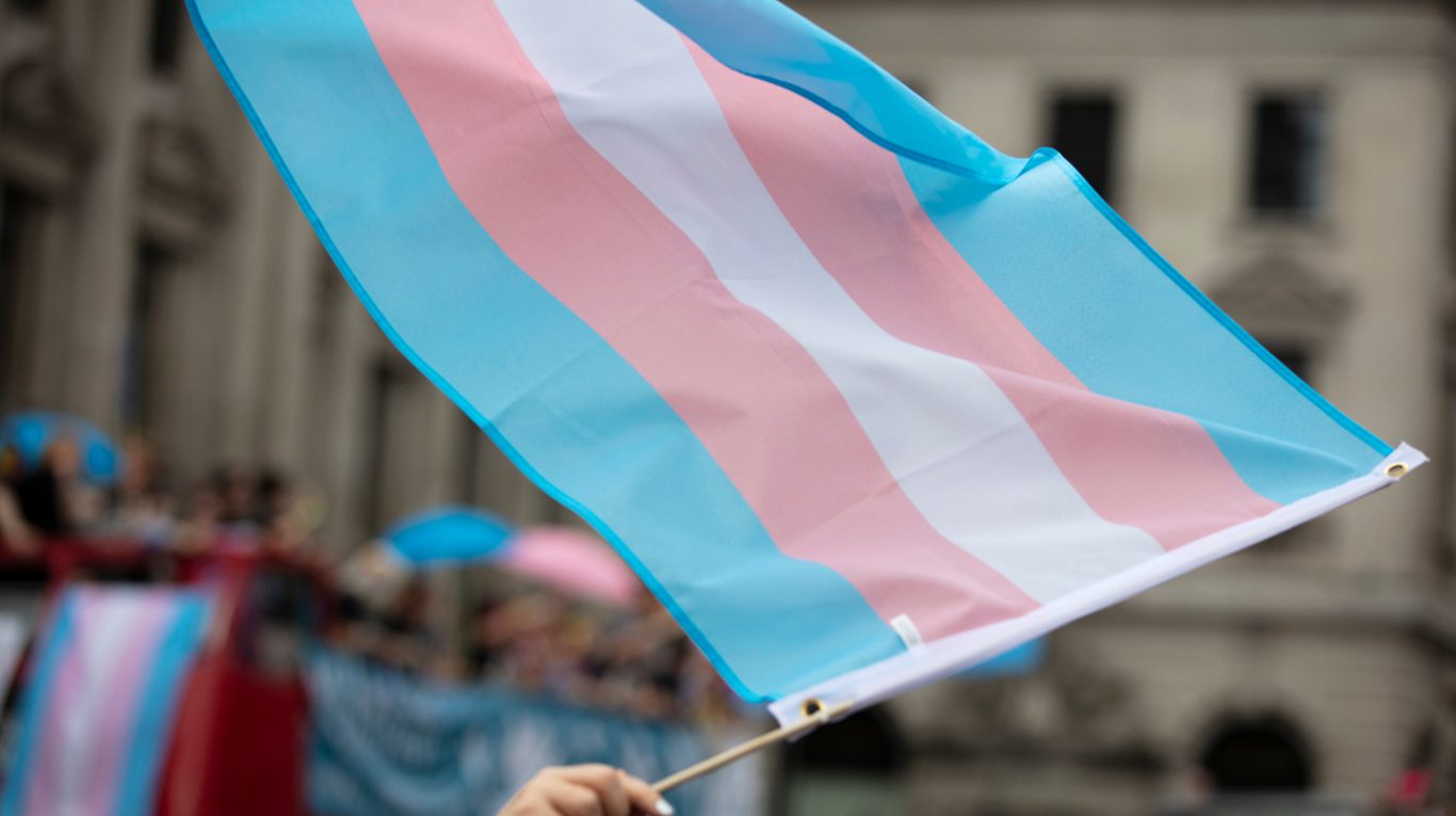 Copred pide apoyo familiar para infantes y adolescentes trans • Once ...