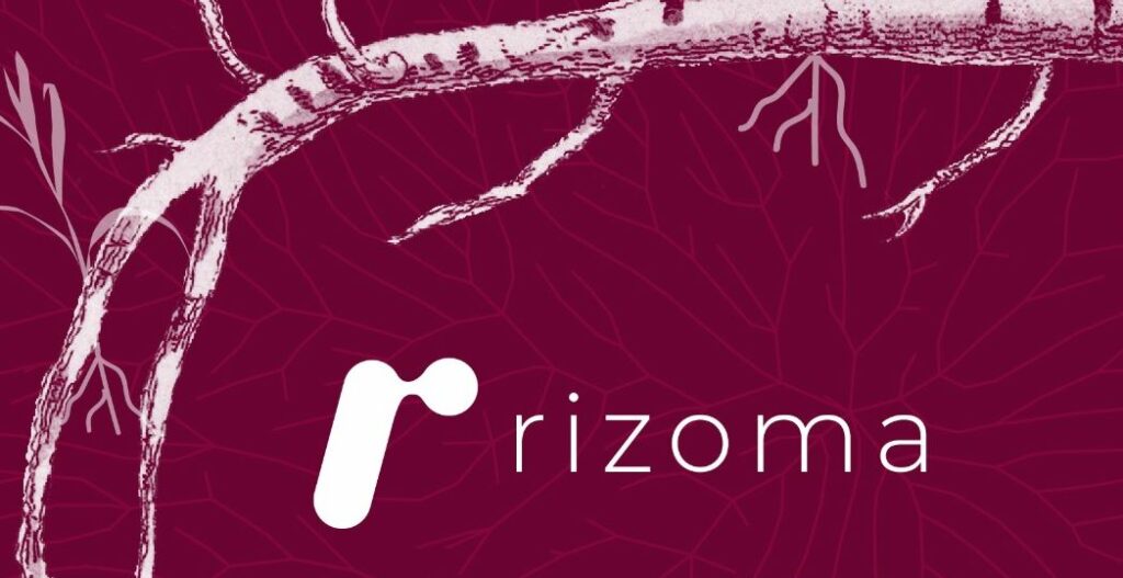 Conahcyt lanza plataforma "Rizoma" para investigadores y becarios ...
