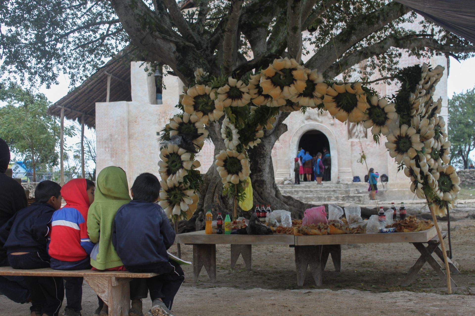 Lengua xi'oi/xi'uy (pame), hay que enseñar para no olvidar • Once Noticias