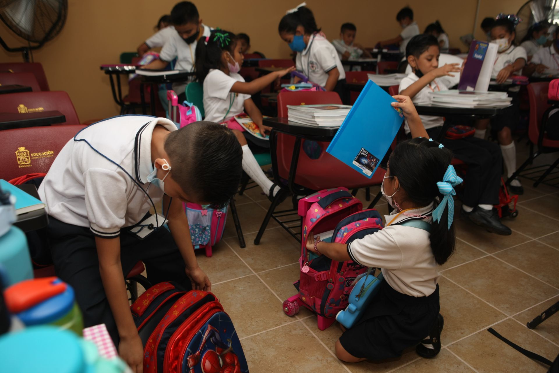 Descarga en línea la boleta y certificado escolar de tus hijos en CDMX • Once Noticias
